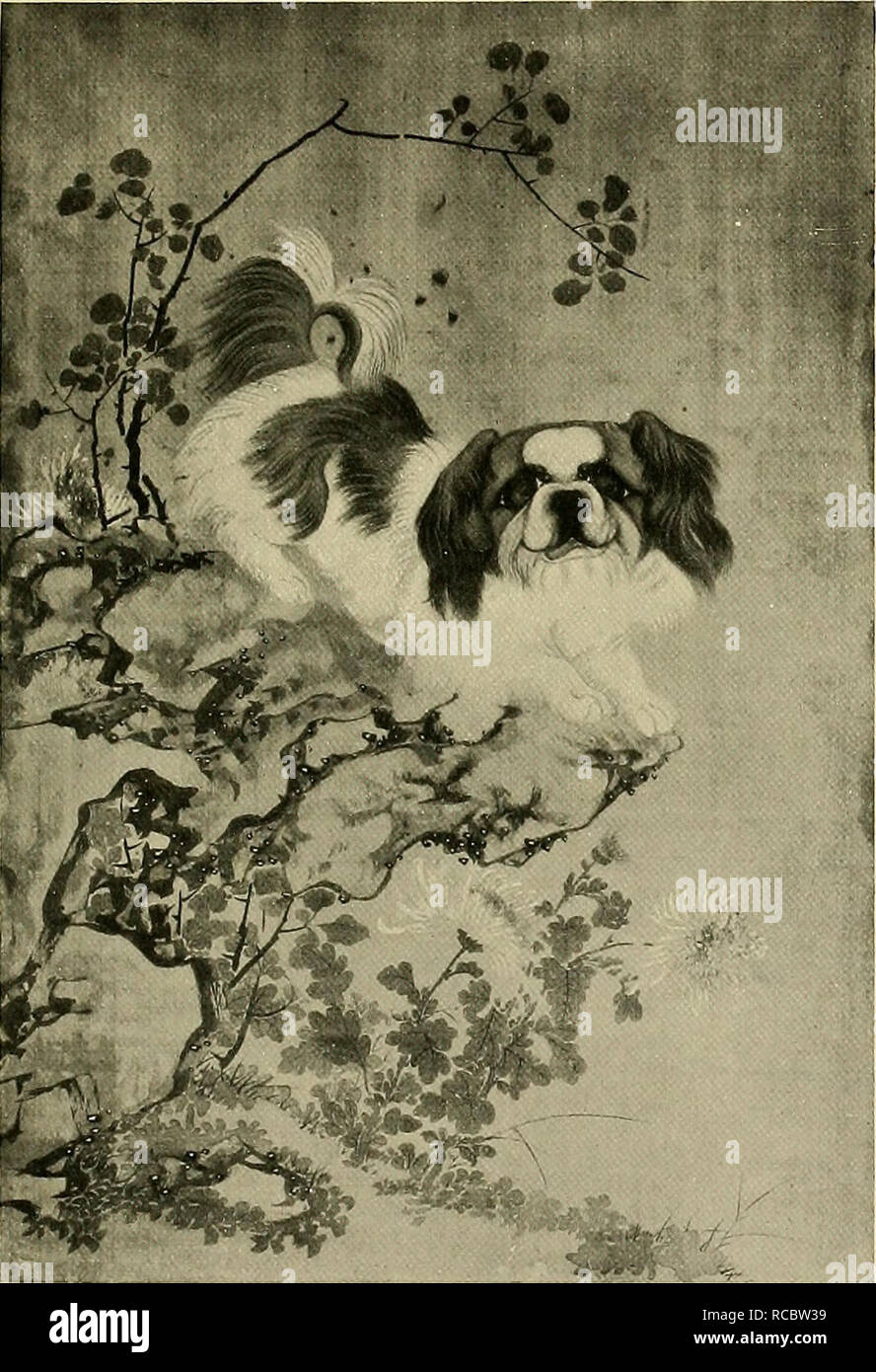 Ching shih hi-res stock photography and images - Alamy