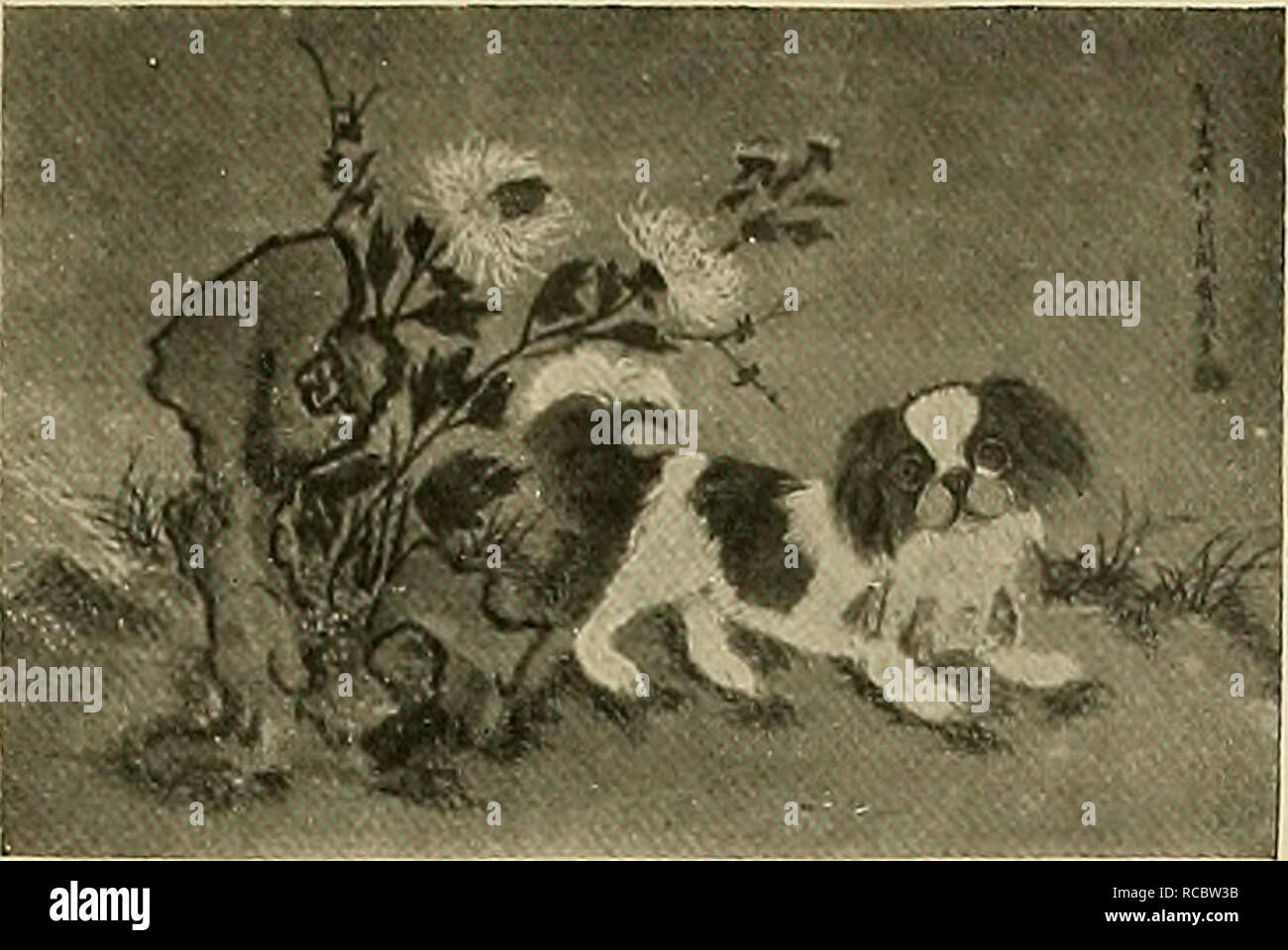 Ching shih hi-res stock photography and images - Alamy