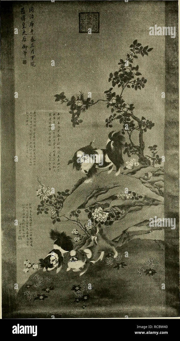 Tzu hsi hi-res stock photography and images - Alamy