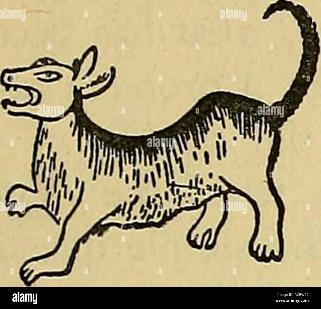 Neolithic Domestication