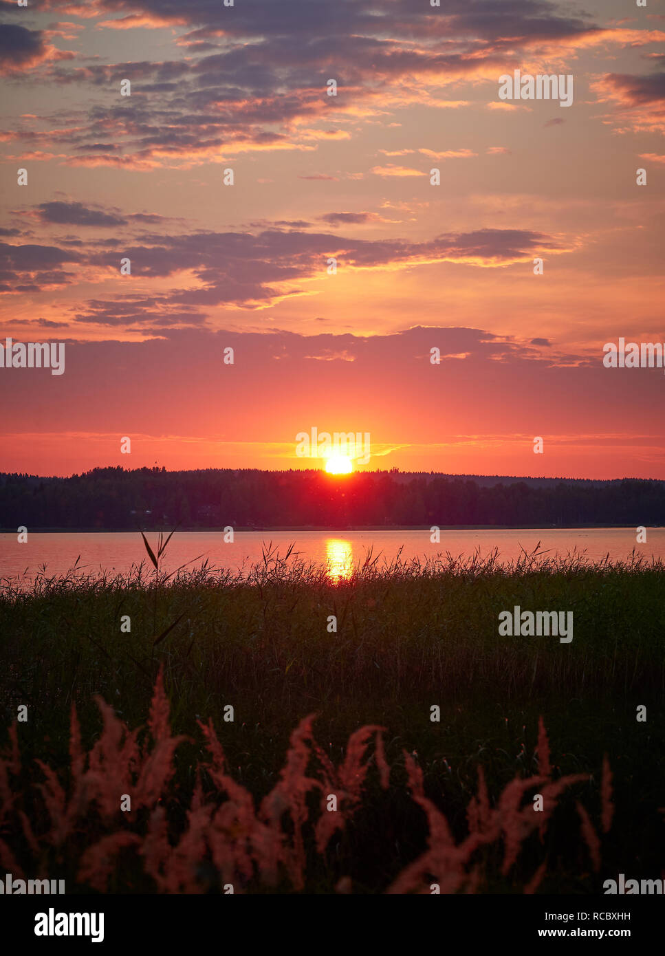 Dramatic sunset sky with the sun and colorful clouds. Beautiful summer ...