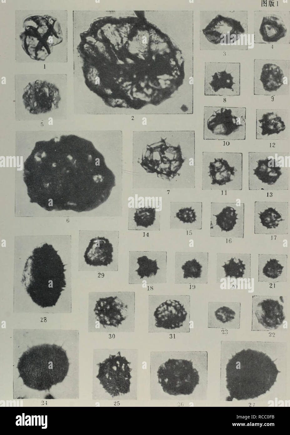 Guo hua hi-res stock photography and images - Alamy