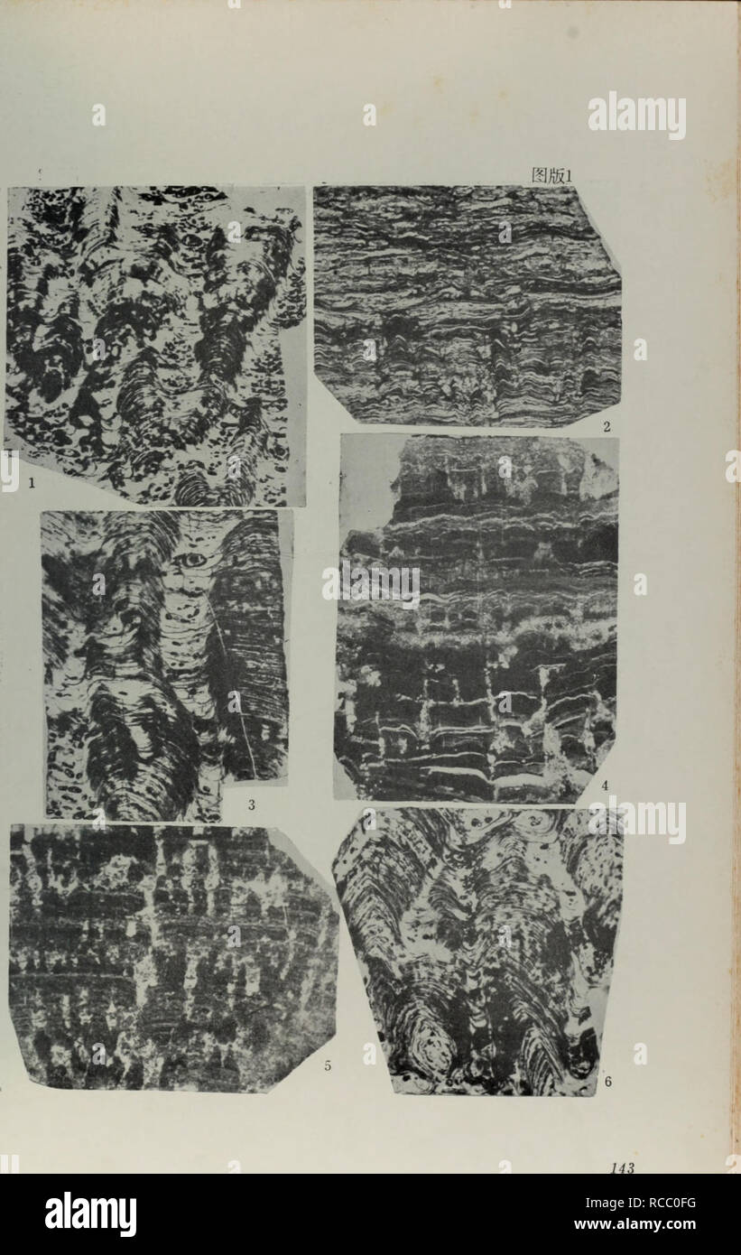 Xuan wu hi-res stock photography and images - Alamy