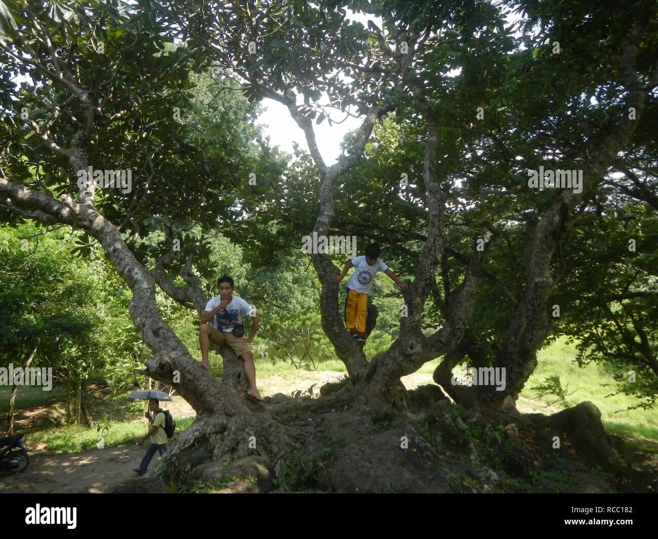 Bilibid prison hi-res stock photography and images - Alamy