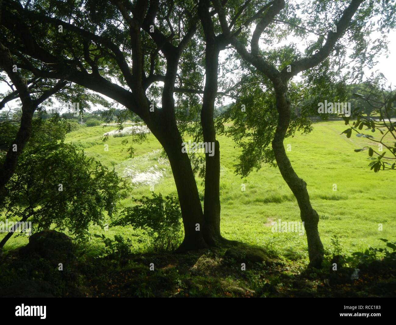 Bilibid prison hi-res stock photography and images - Alamy