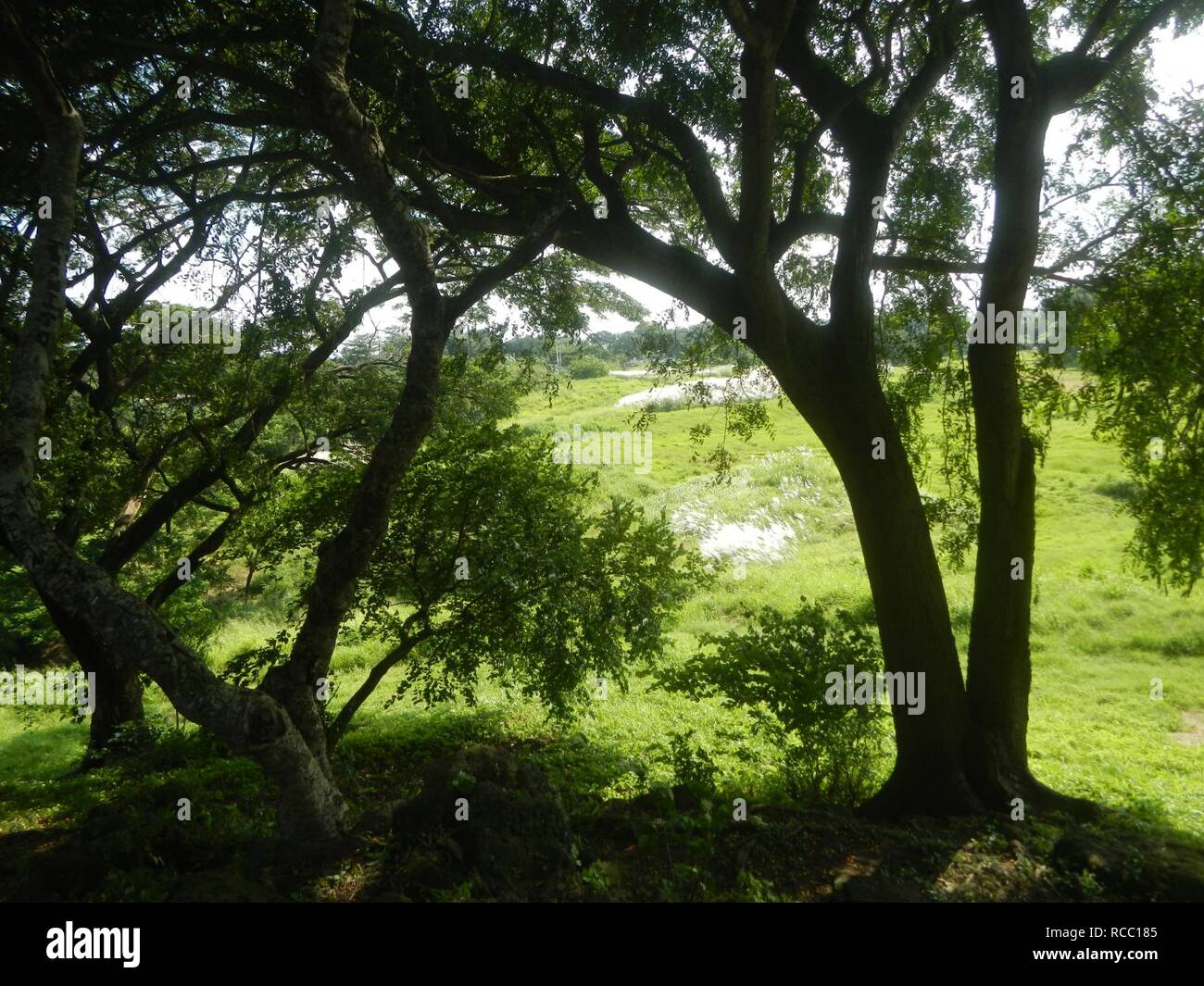 Bilibid prison hi-res stock photography and images - Alamy