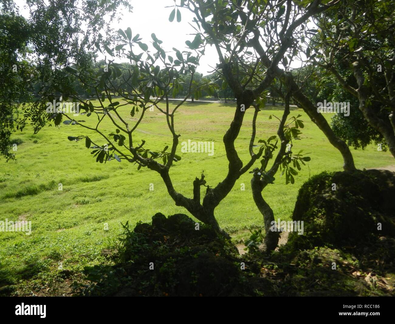 Bilibid hi-res stock photography and images - Alamy