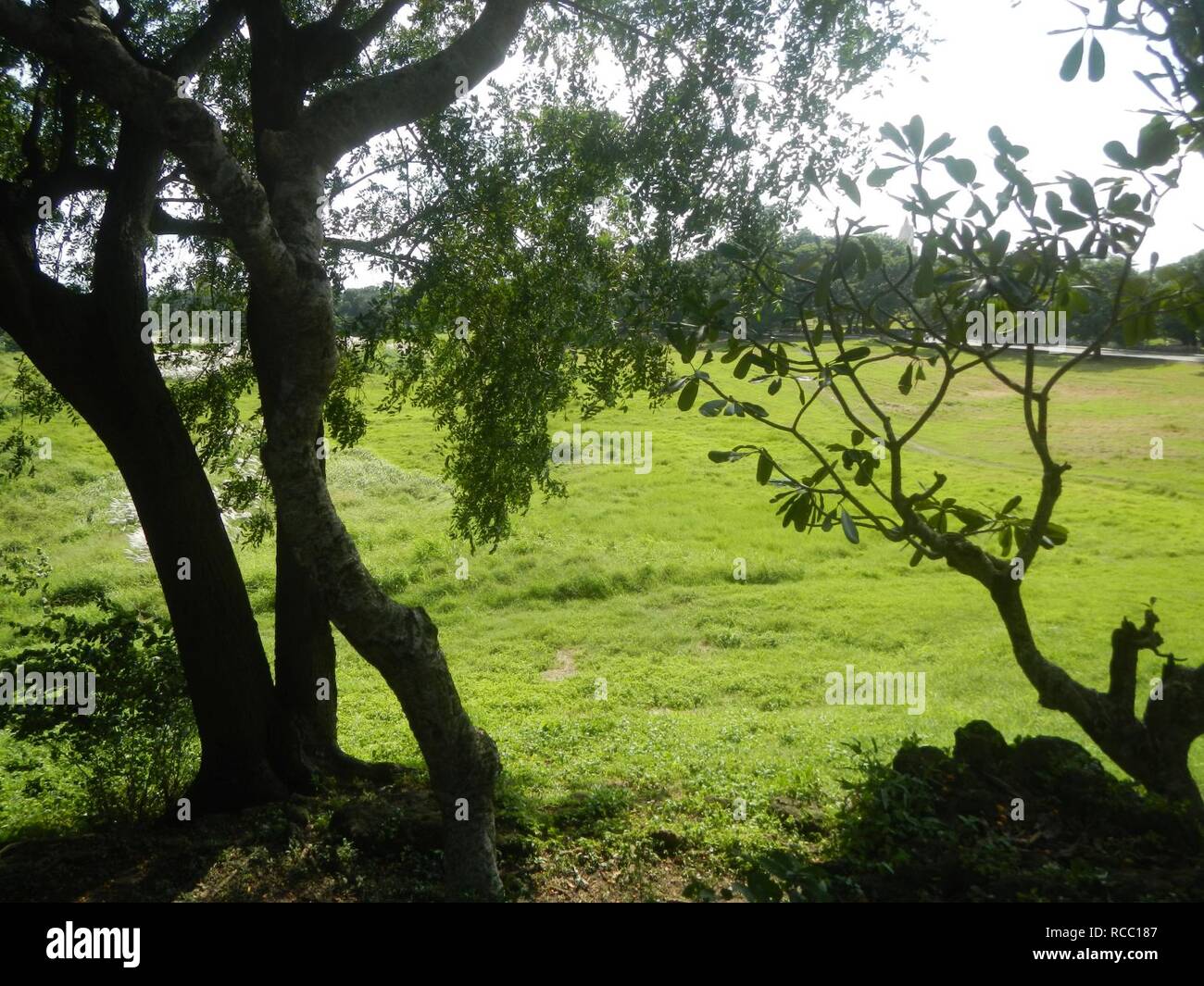 Bilibid prison hi-res stock photography and images - Alamy