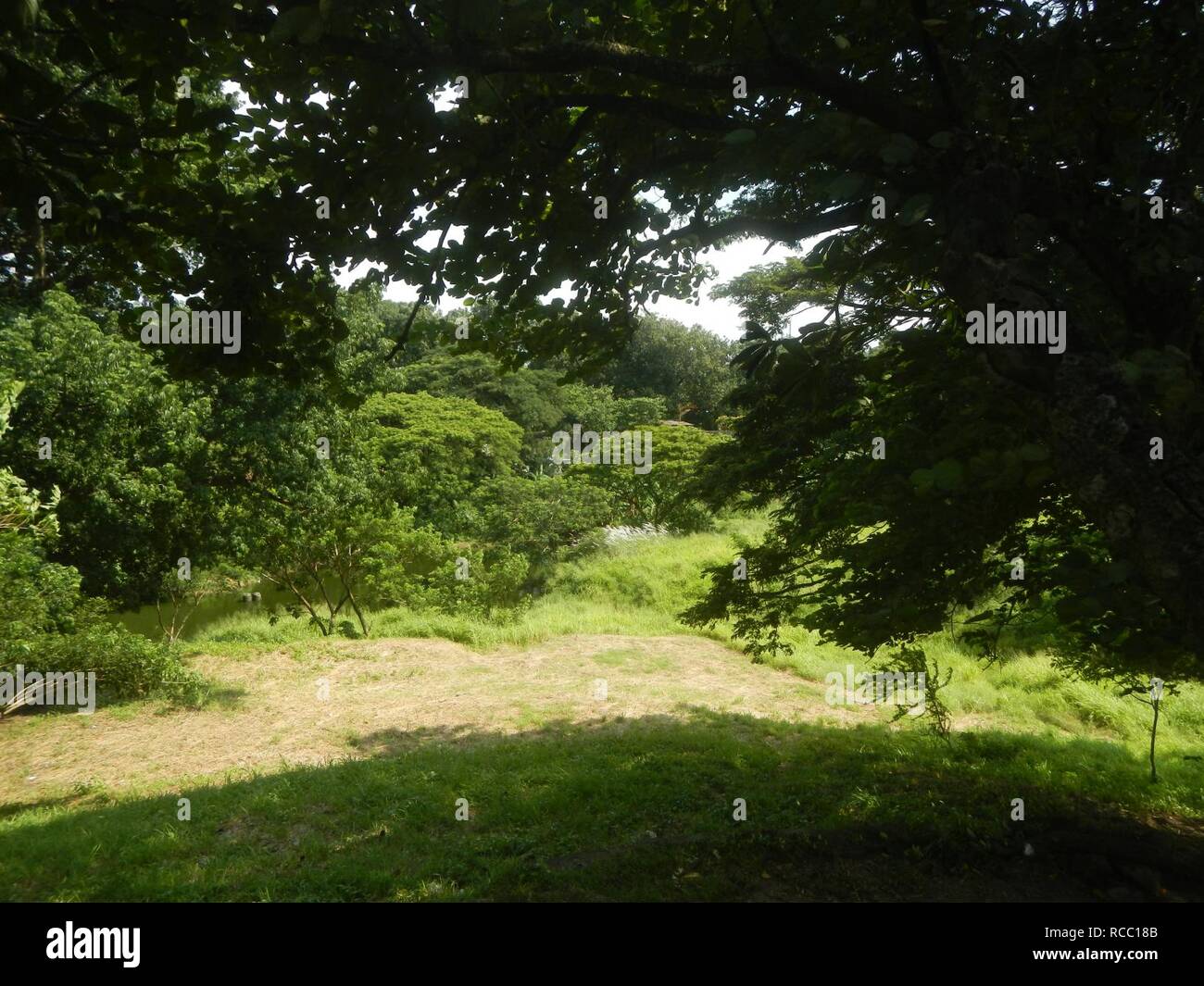 Bilibid prison hi-res stock photography and images - Alamy