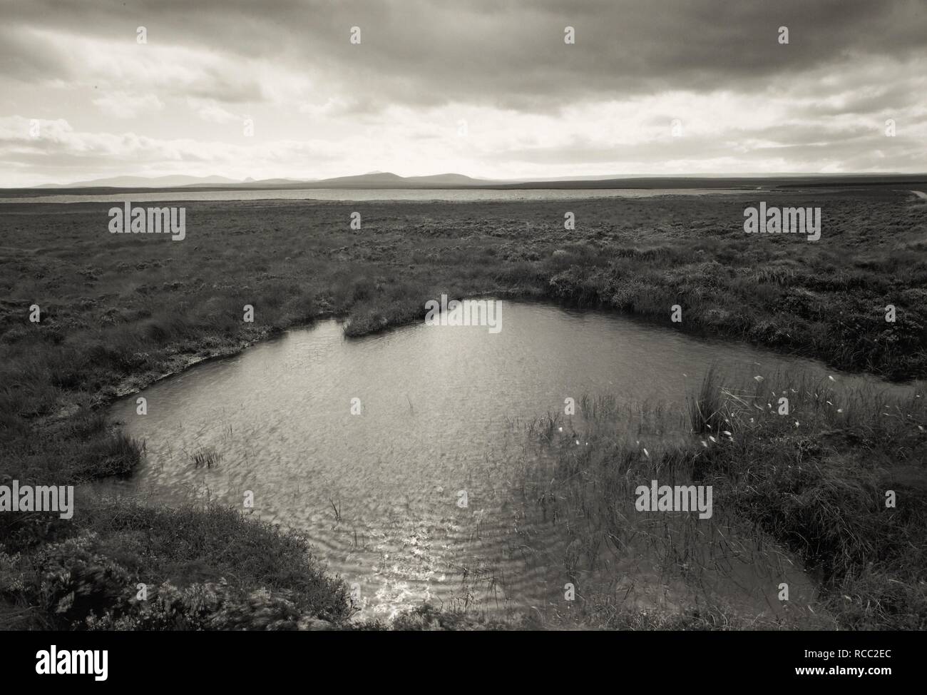 Altna Breac; Flow Country; Caithness 1988 Our Forbidden Land Series ...