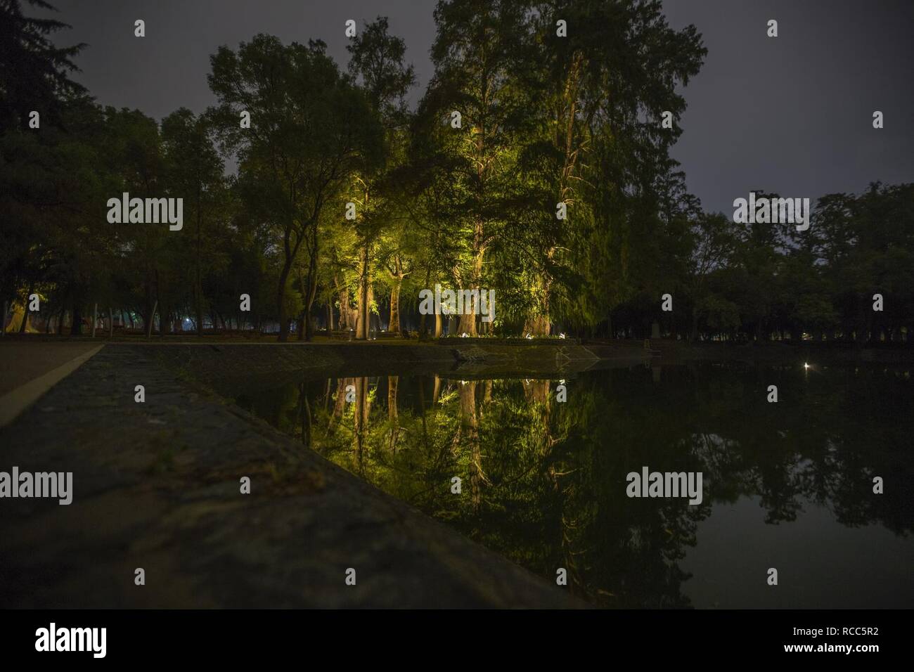 Ahuehuetes Chapultepec 0296 (26344142159 Stock Photo - Alamy