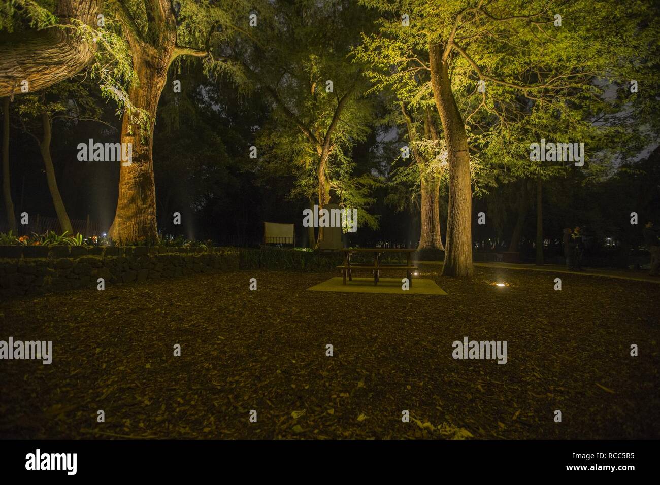 Ahuehuetes hi-res stock photography and images - Alamy