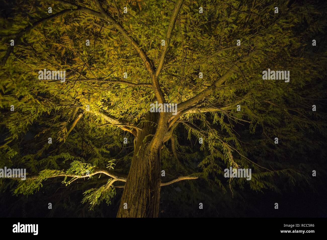 0319 hi-res stock photography and images - Alamy