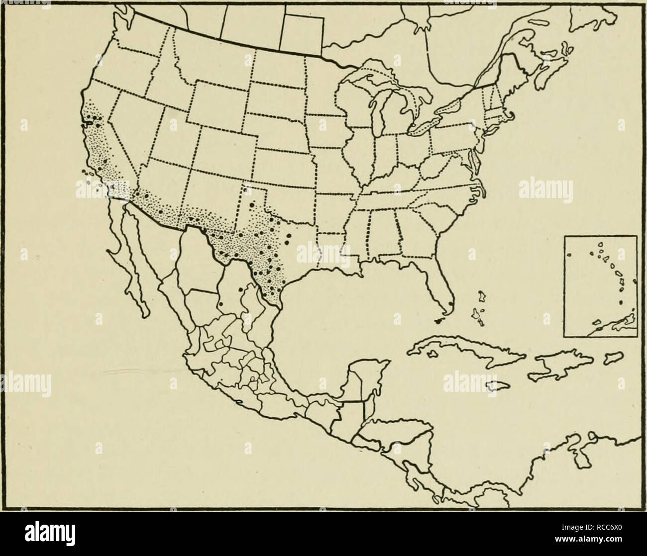 . Diseases of domesticated birds. Poultry; Poultry; Birds. EXTEENAL ...