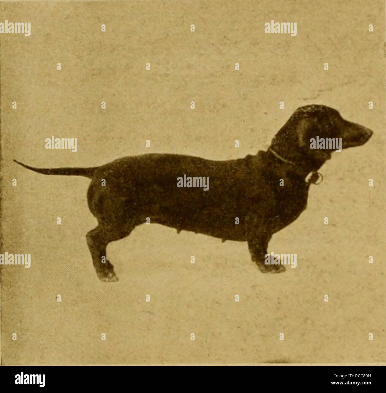 Karl watson hi-res stock photography and images - Alamy