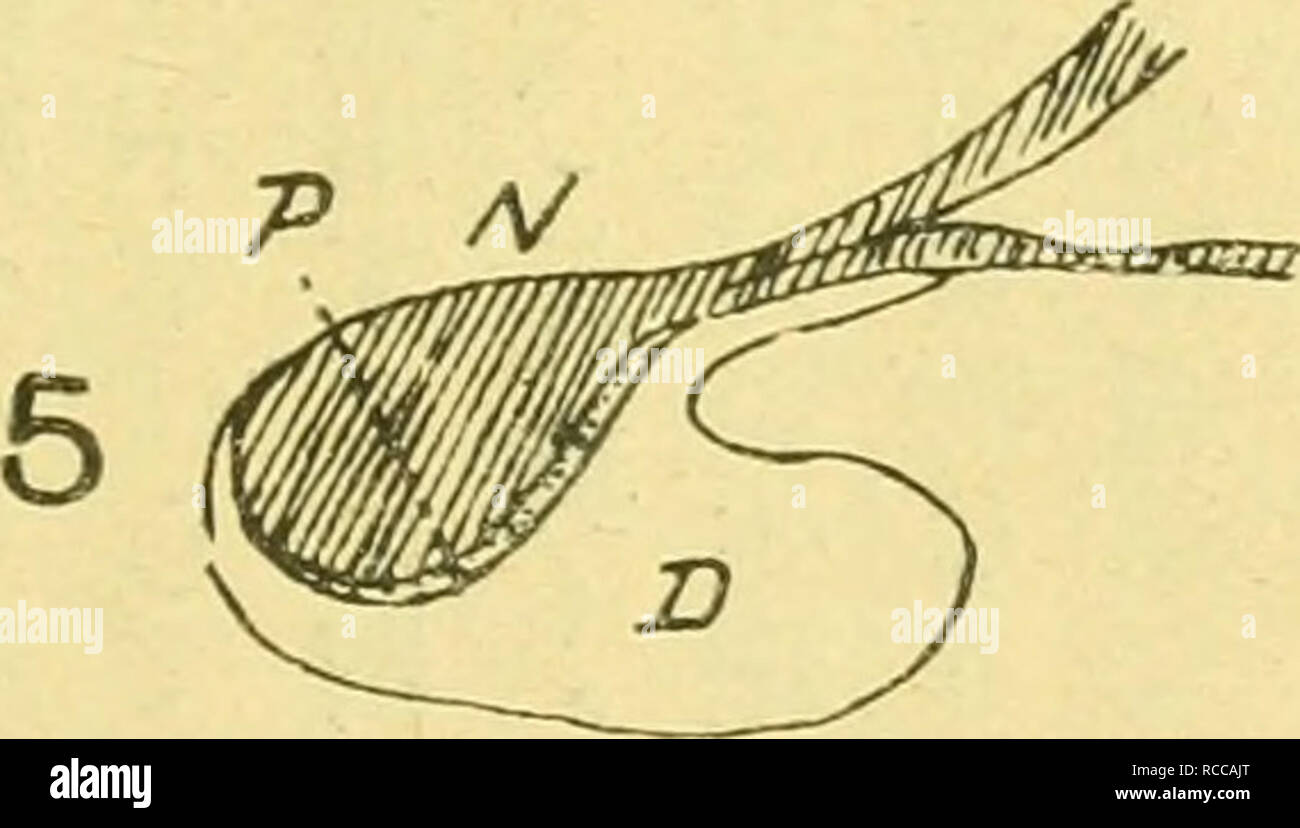 Aaa zelle hi-res stock photography and images - Alamy