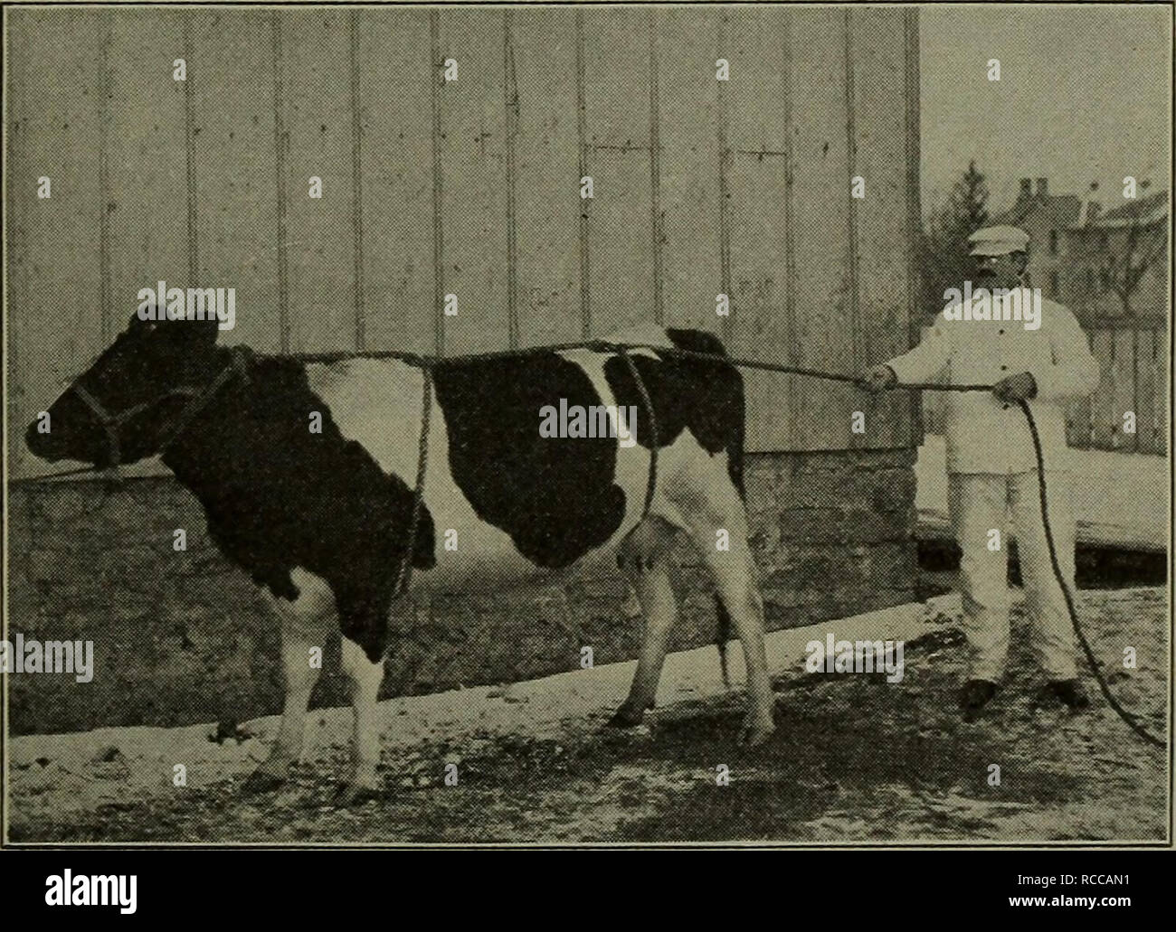 Washed wounds hi-res stock photography and images - Alamy