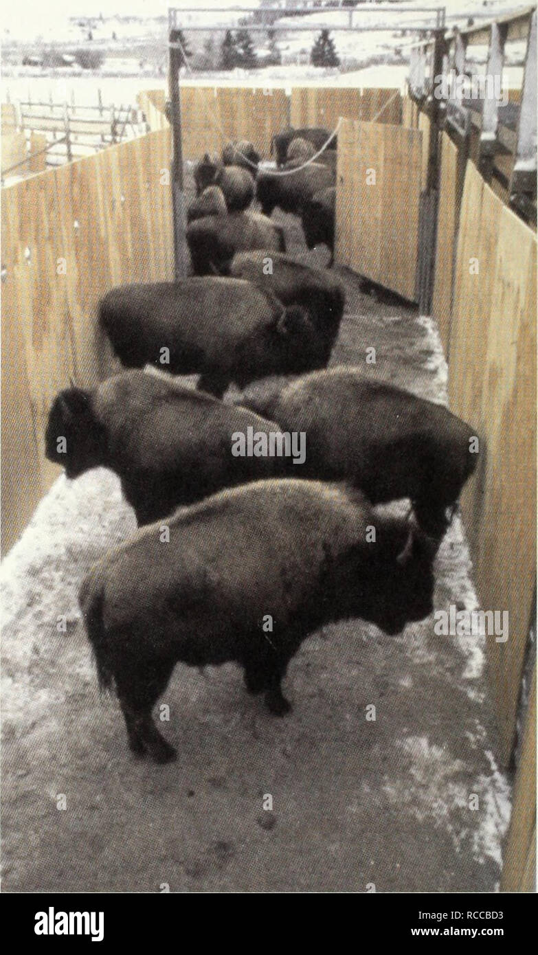 Adverse environmental impact hi-res stock photography and images - Alamy