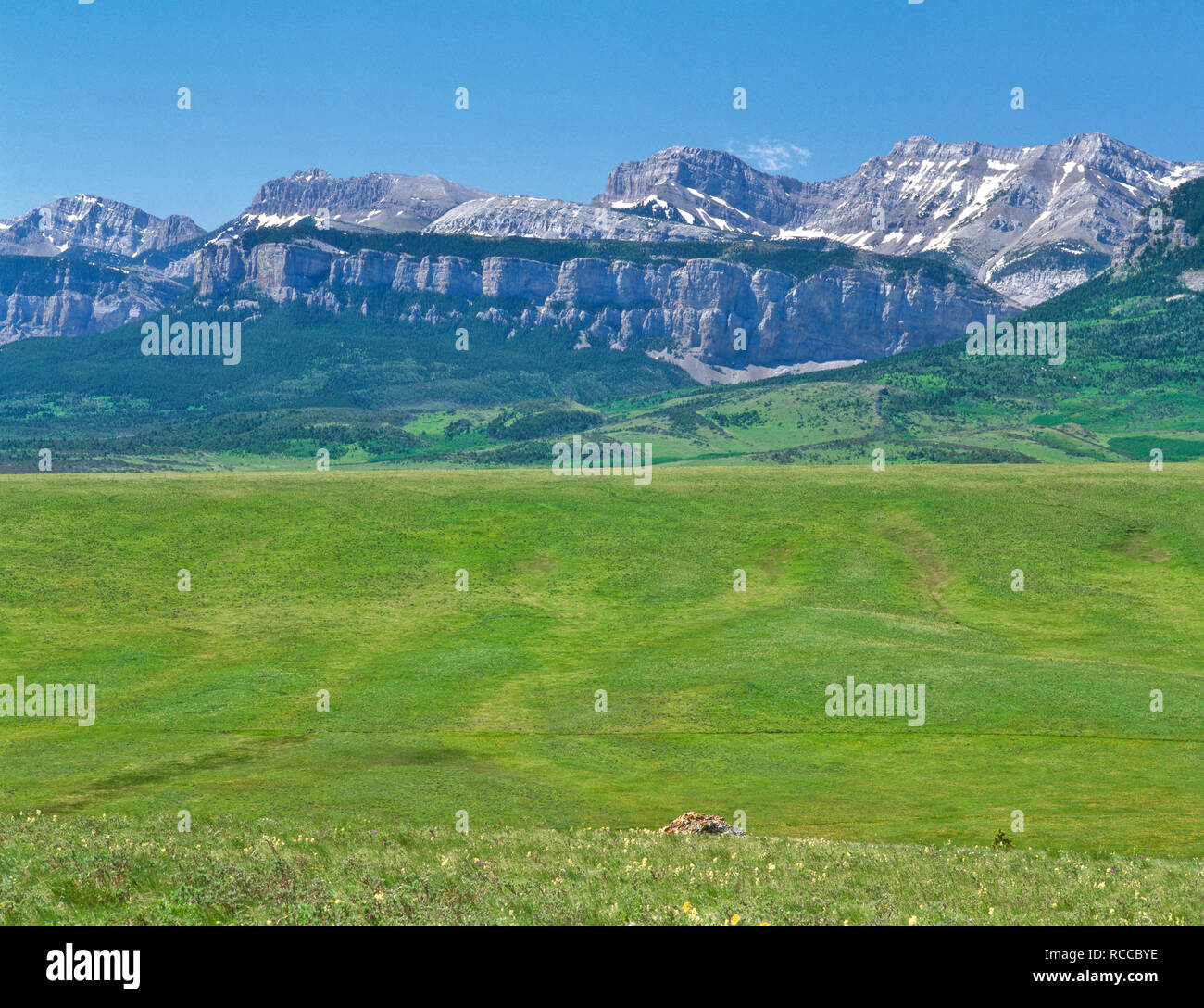 rocky mountain front in the dupuyer creek area near dupuyer, montana ...
