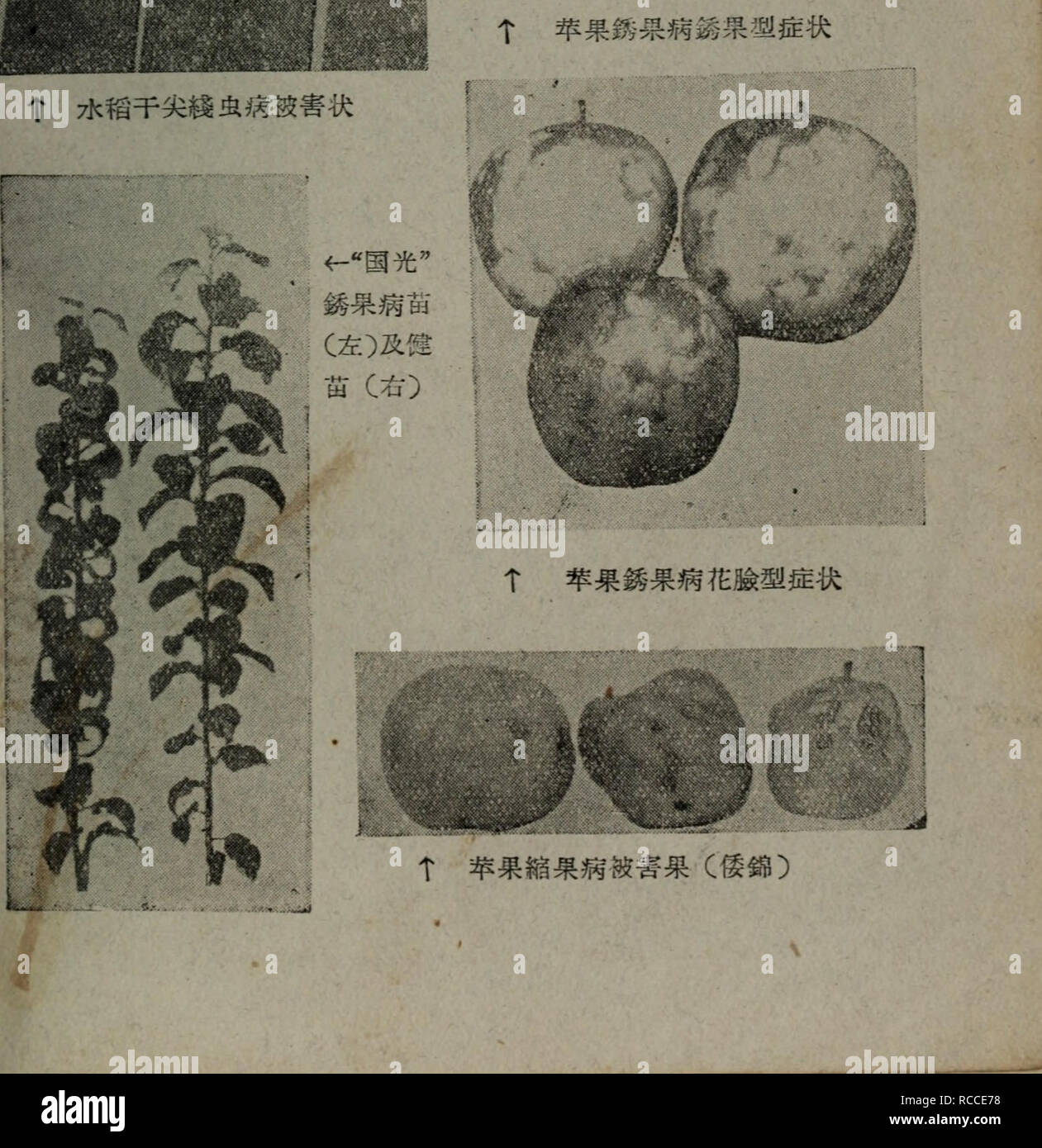 Shou min hi-res stock photography and images - Alamy