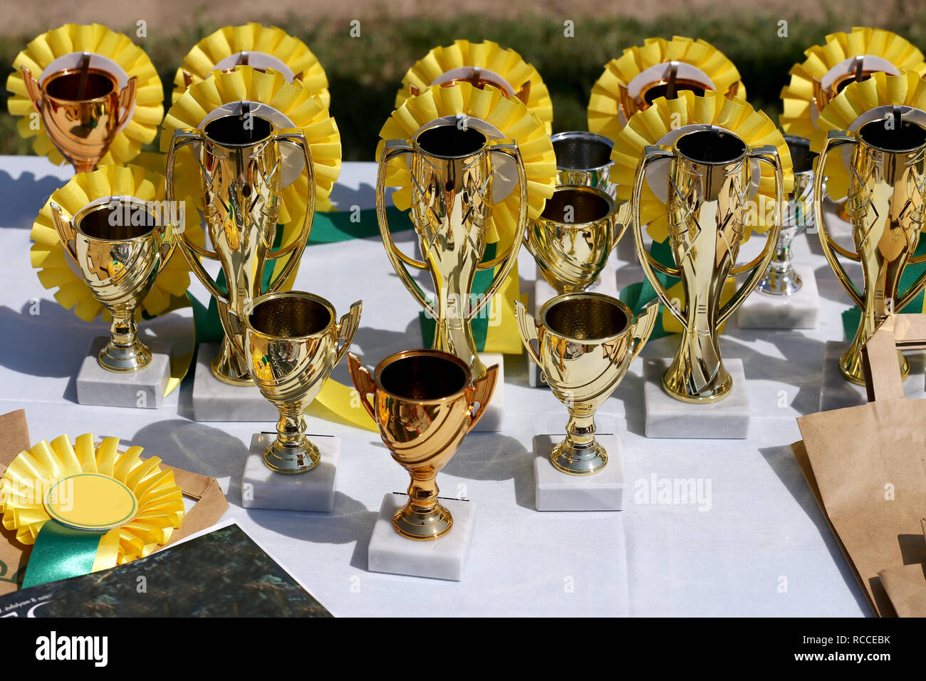 Closeup of colorful ribbons awards rosettes and trophys for winners In ...
