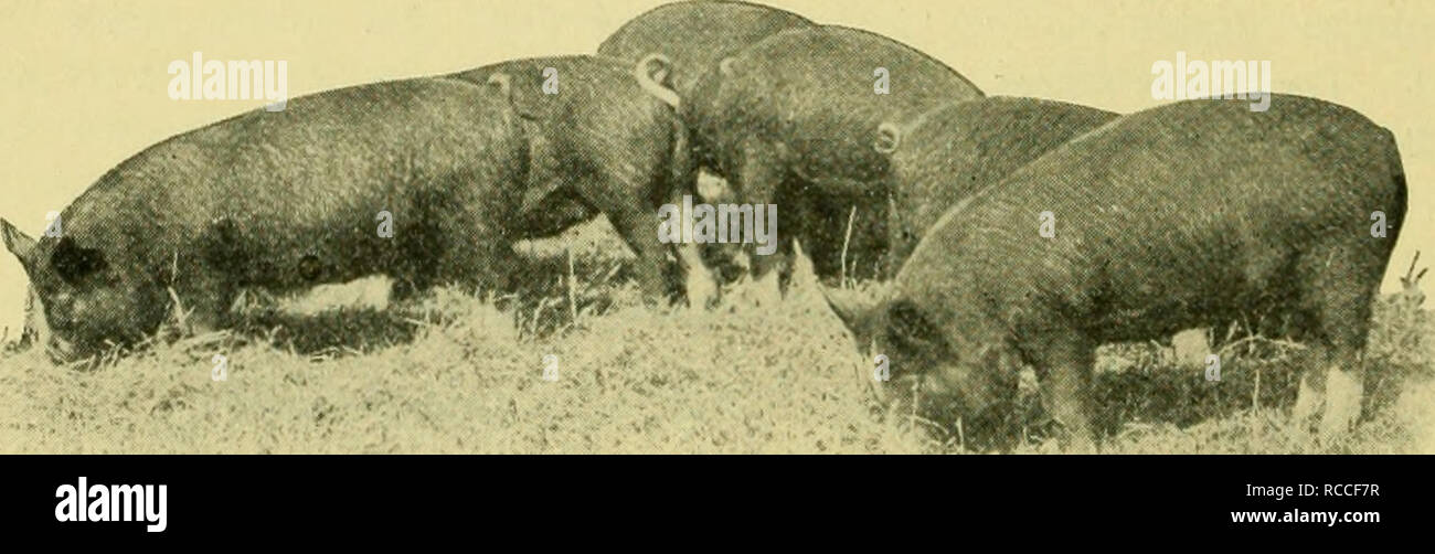 Crop rotation illustrations hi-res stock photography and images - Alamy