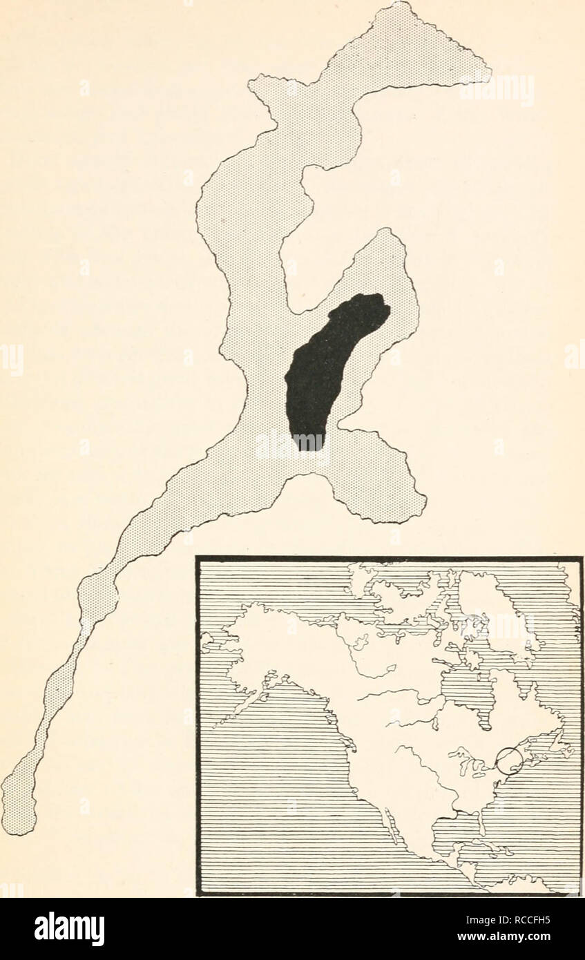 . Distribution and origin of life in America. Zoology -- America ...