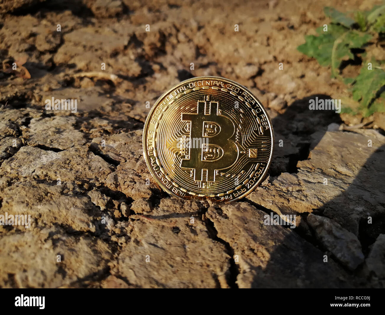Golden Bit coin on cracked earth. Symbolic image of virtual currency ...