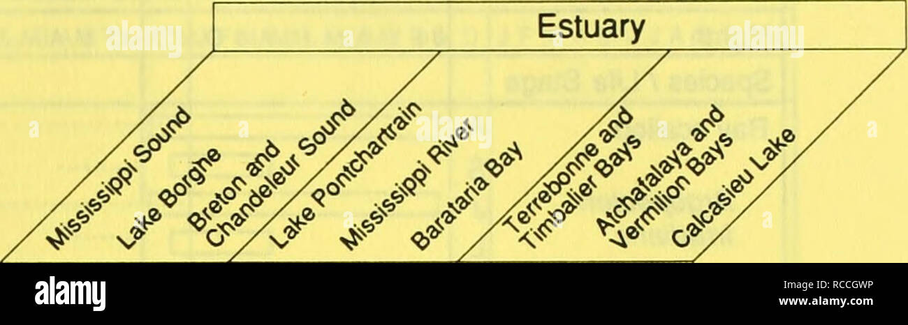 Common rangia hi-res stock photography and images - Alamy