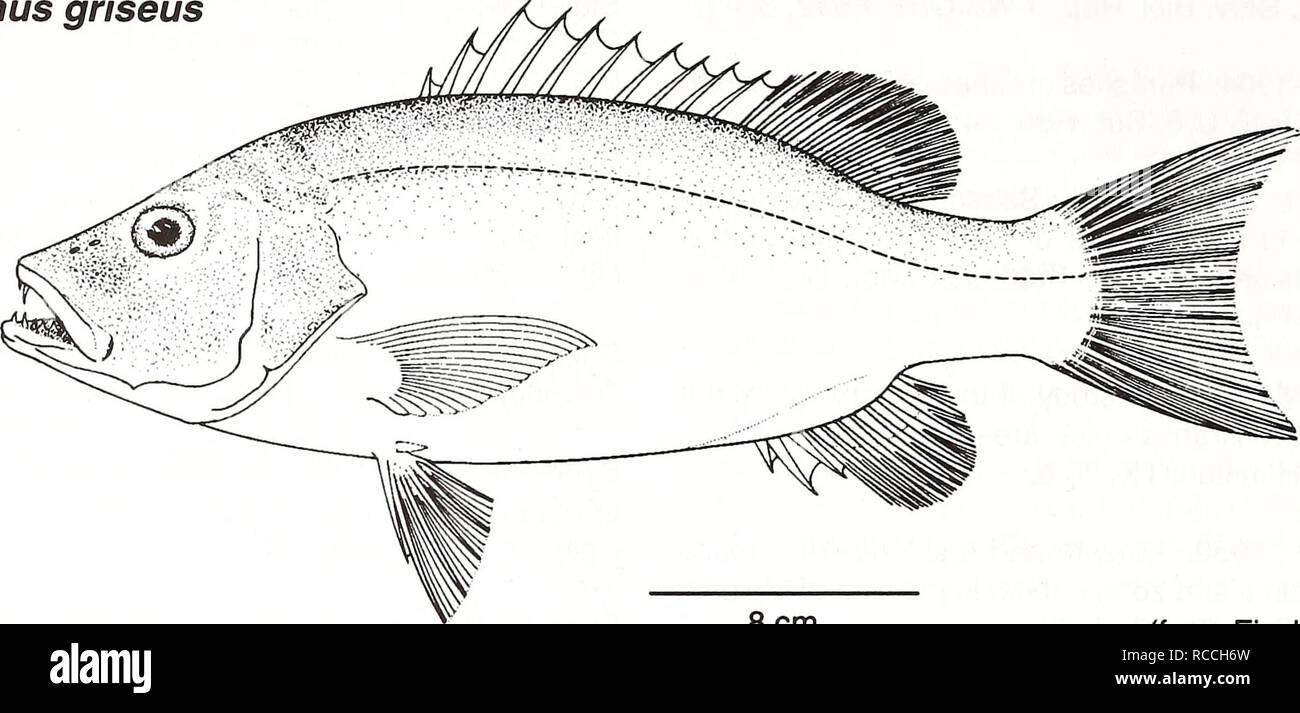 . Distribution and abundance of fishes and invertebrates in Gulf of ...