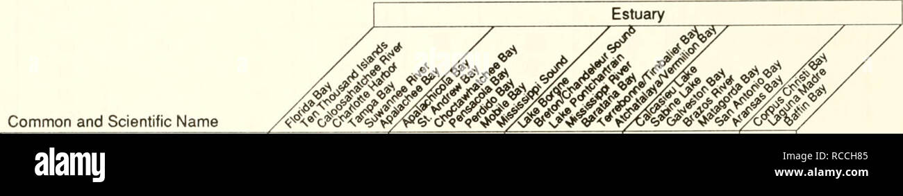 Common rangia hi-res stock photography and images - Alamy