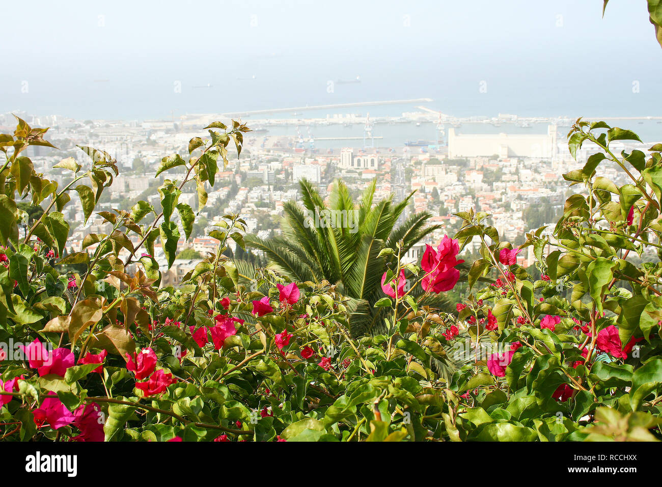 Landscape with Bahai Gardens in Haifa, Israel Stock Photo - Alamy