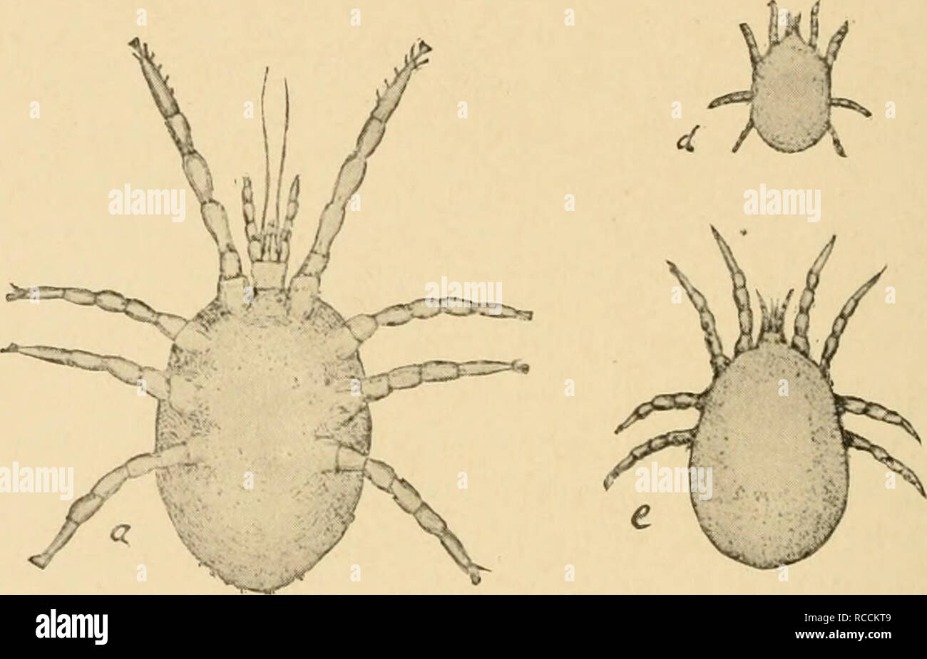 . Diseases of poultry; their etiology, diagnosis, treatment, and ...