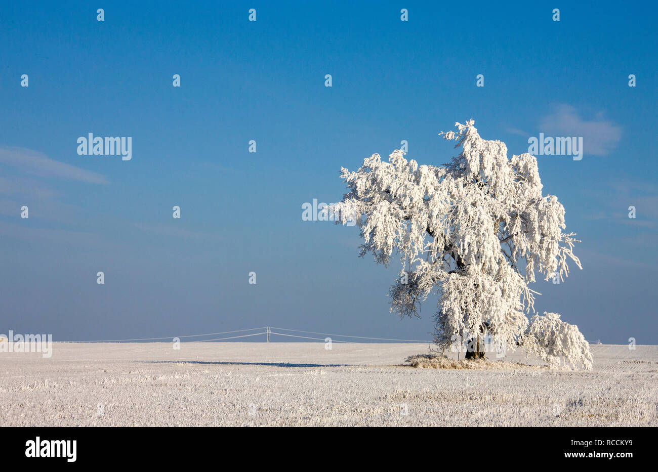 Saskatchewan landscapes hi-res stock photography and images - Alamy