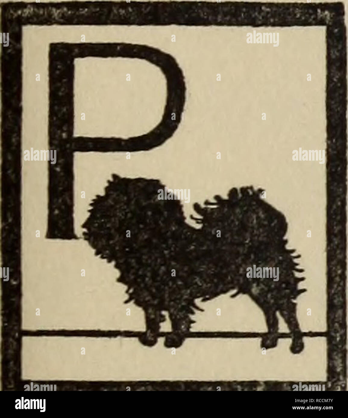 . Dog and dogs. Dogs. Chapter XII The Homing Instinct in Dogs With eye ...