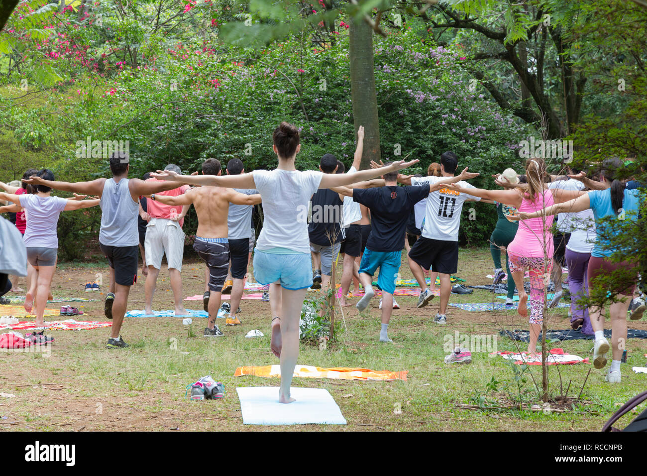 Group of people exercise under the trees in public park, Parque ...