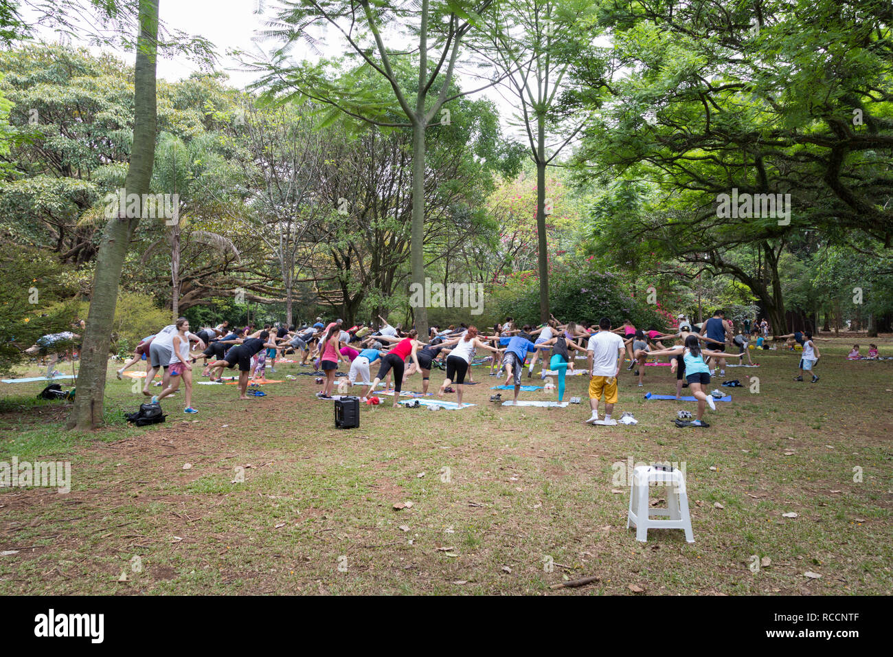 Group of people exercise under the trees in public park, Parque ...