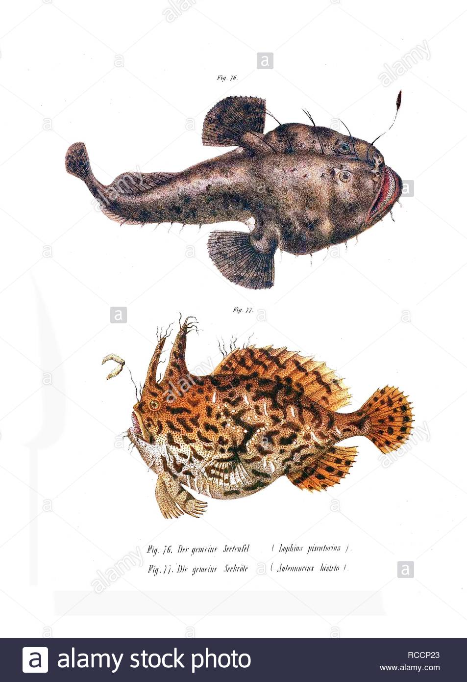 Gibraltar Pictures Stock Photos & Gibraltar Pictures Stock Images - Alamy