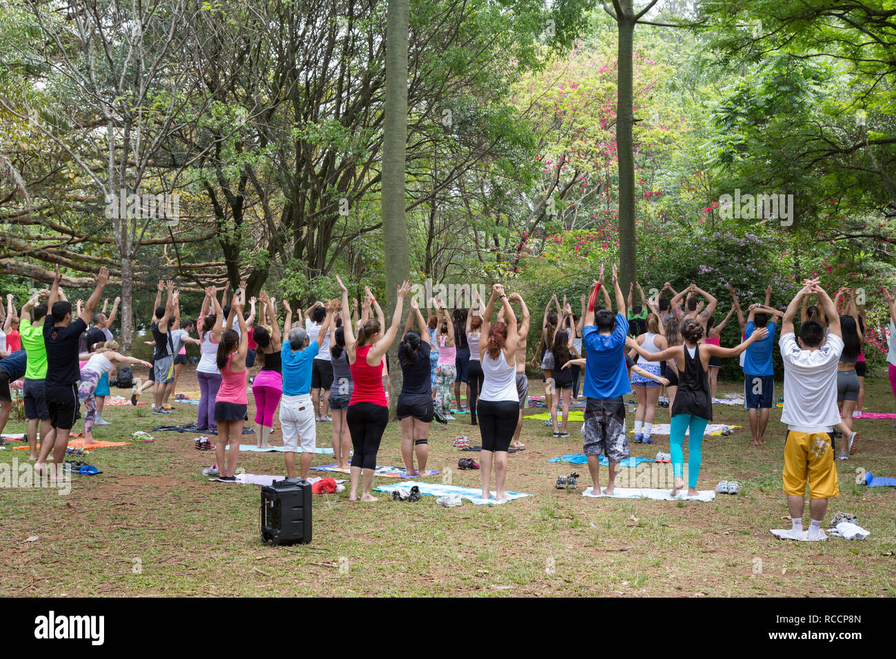 Group of people exercise under the trees in public park, Parque ...