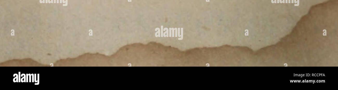 Fang sheng hi-res stock photography and images - Alamy