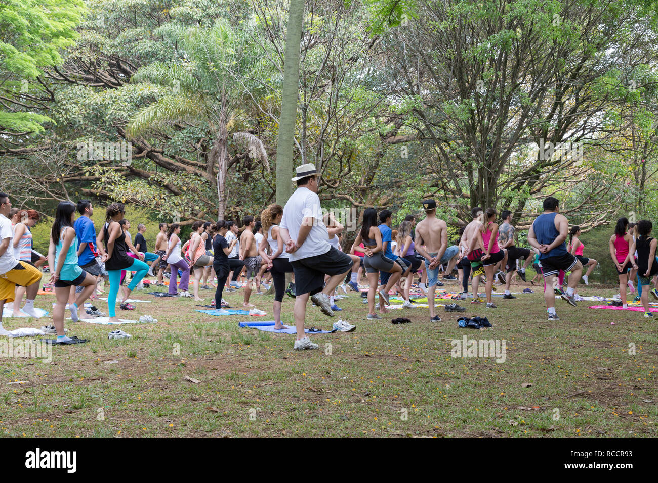 Group of people exercise under the trees in public park, Parque ...