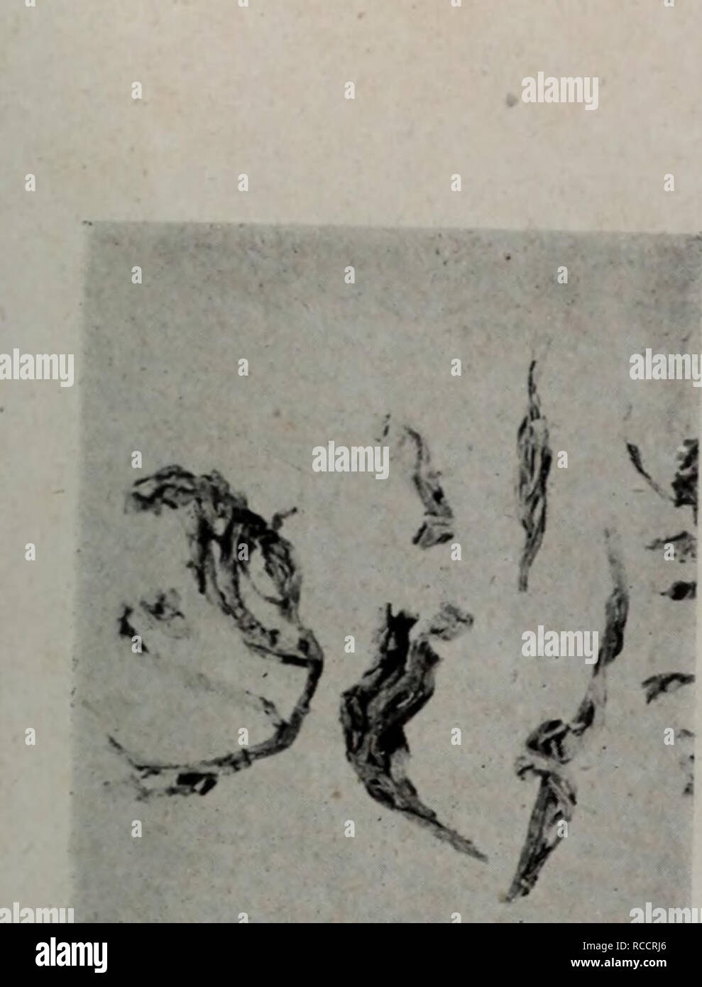 Chun hui hi-res stock photography and images - Alamy