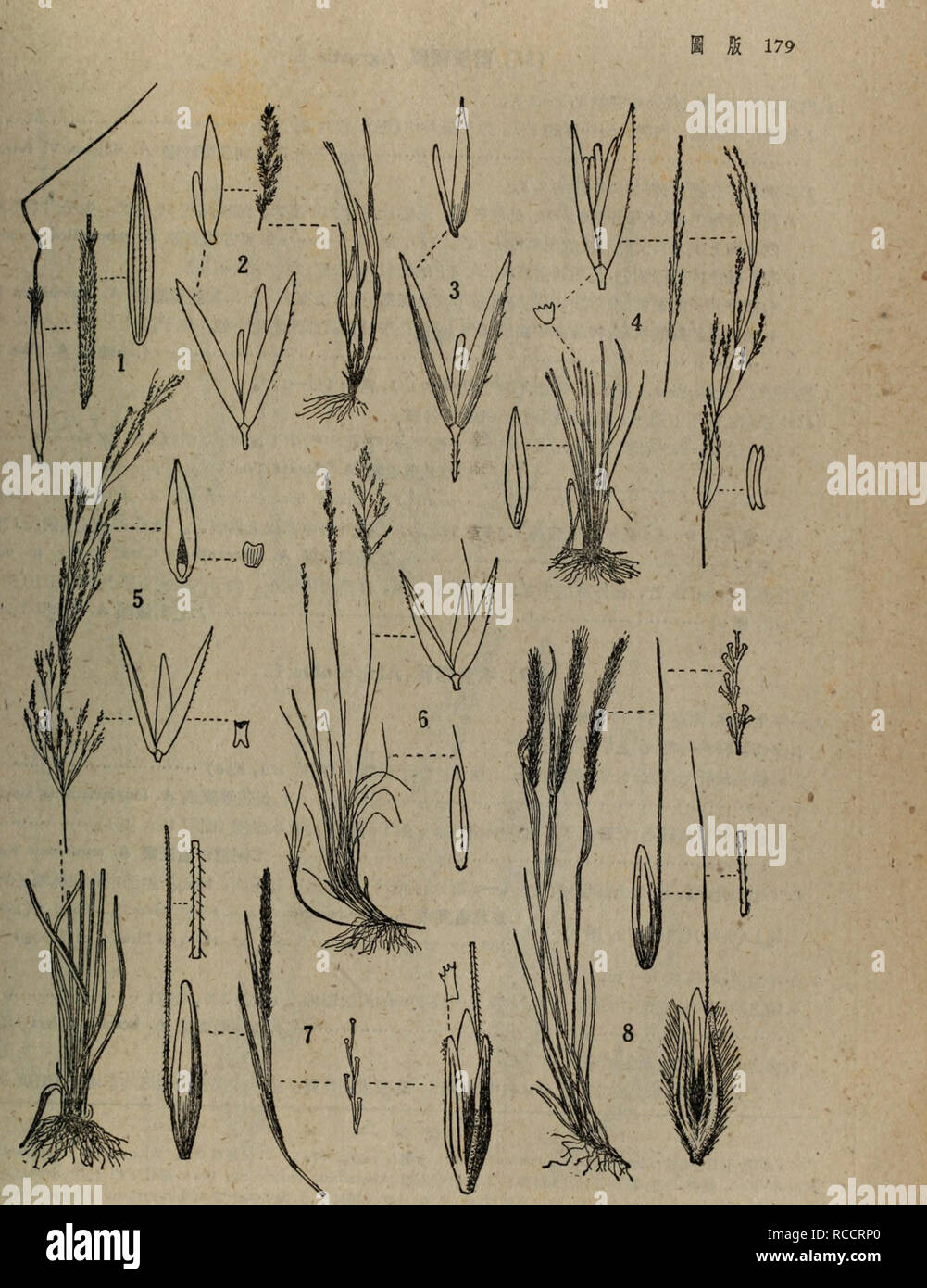 Ban biao hi-res stock photography and images - Alamy