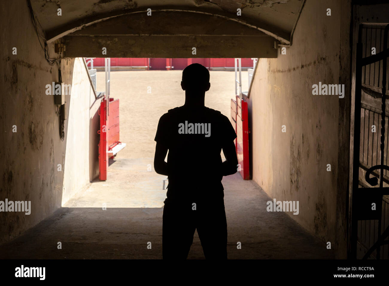 The Plaza Monumental de Barcelona (La Monumental) - Bullring and ...