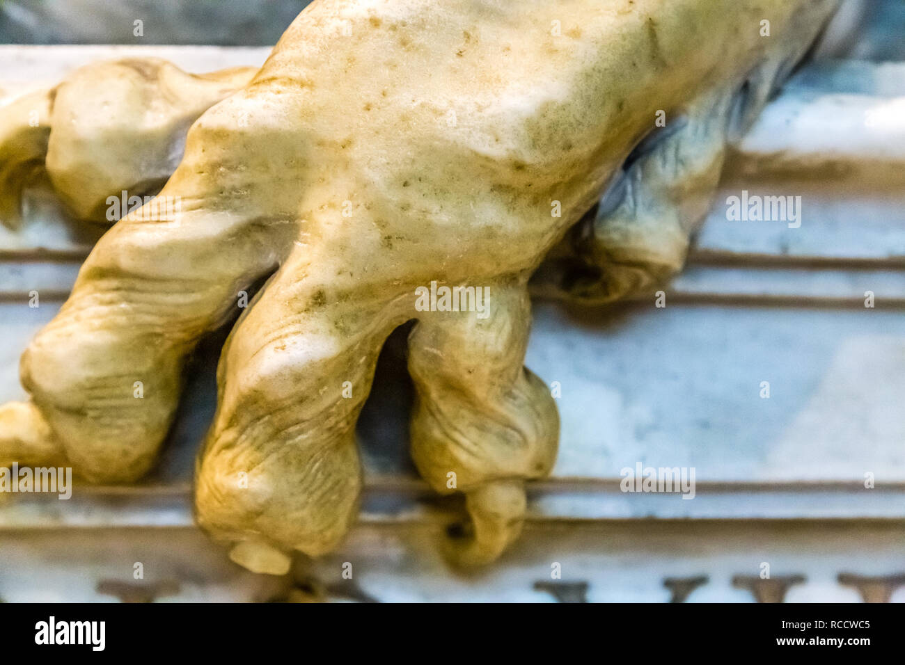 Animal sandals hi-res stock photography and images - Alamy