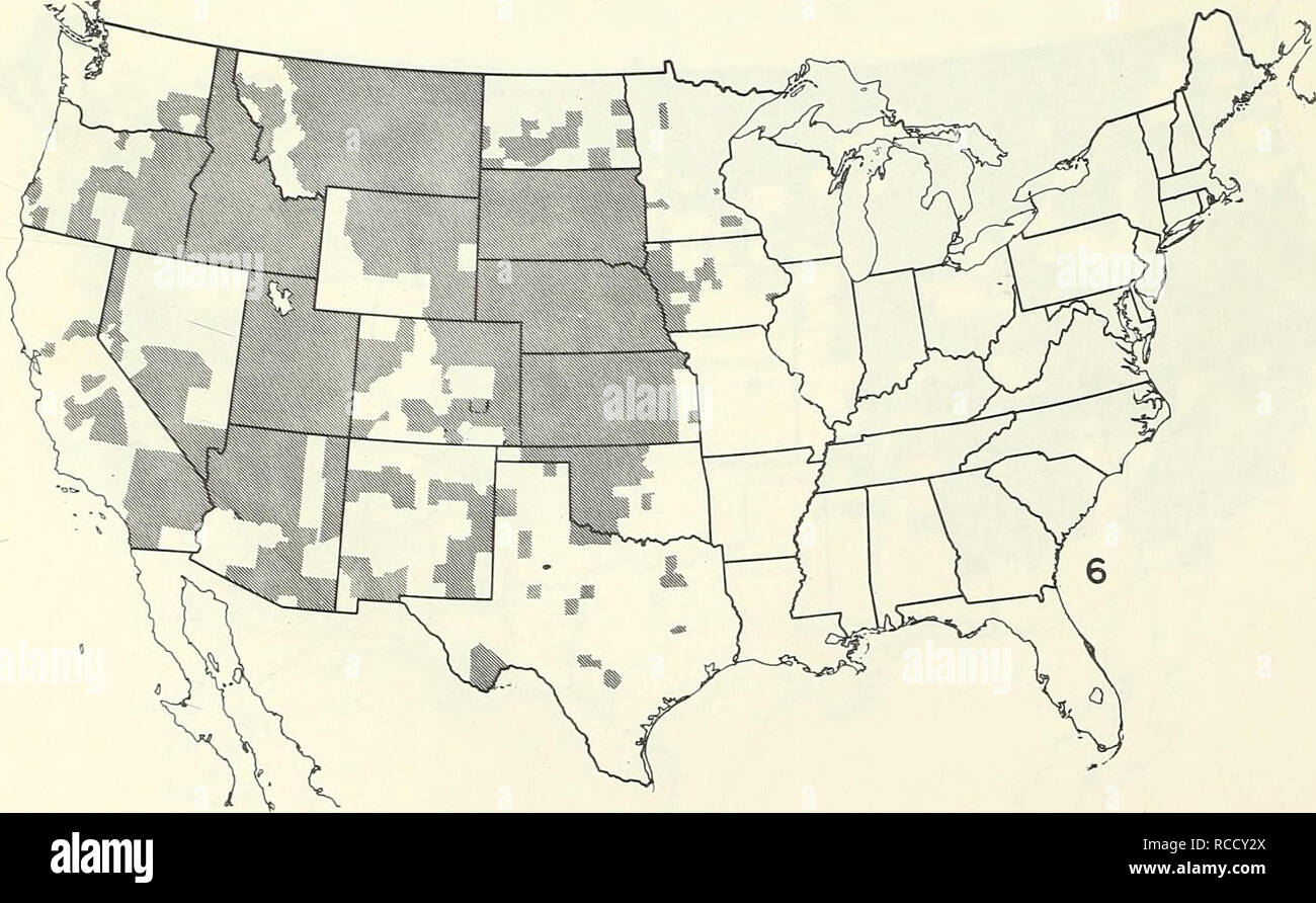 . Distribution maps of some insect pests in the United States. Insect ...