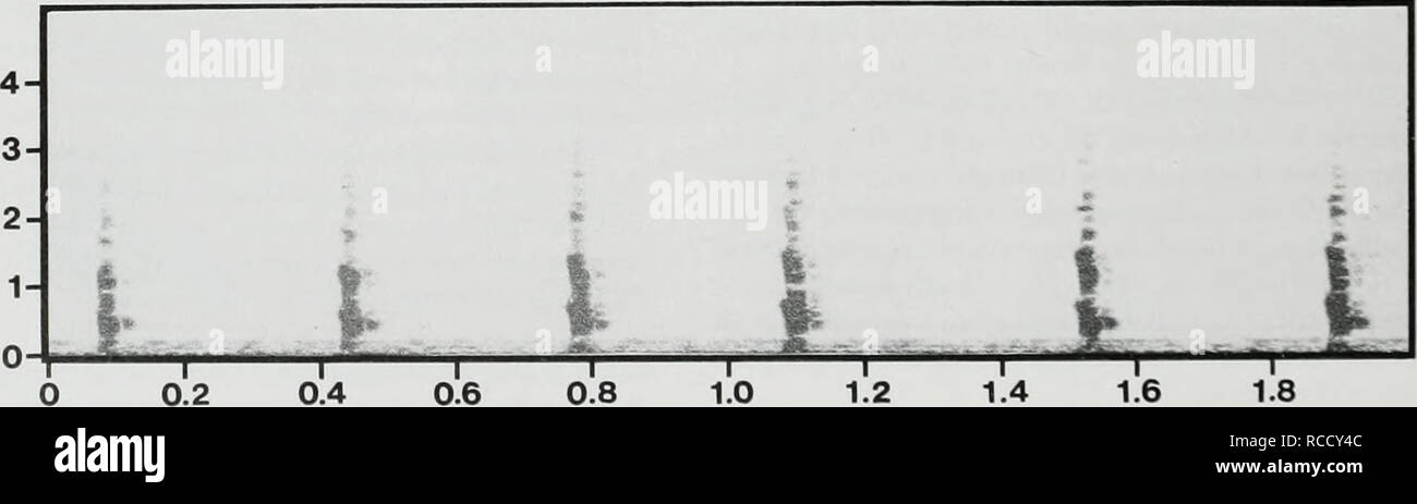 Dorsolateral fold hi-res stock photography and images - Alamy