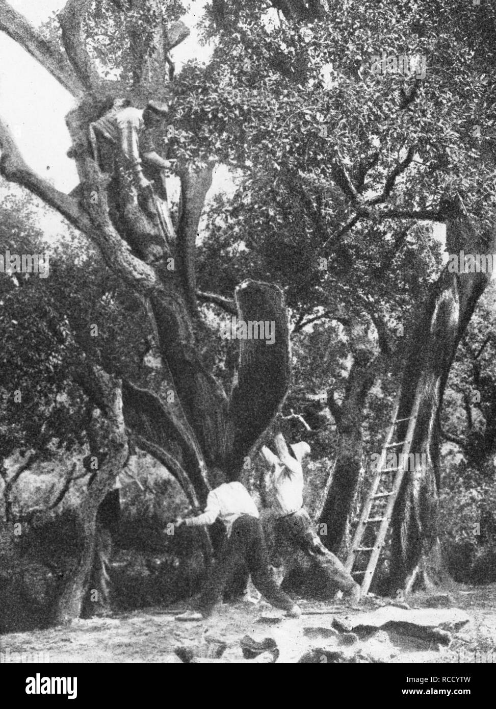 Afnemen hi-res stock photography and images - Alamy