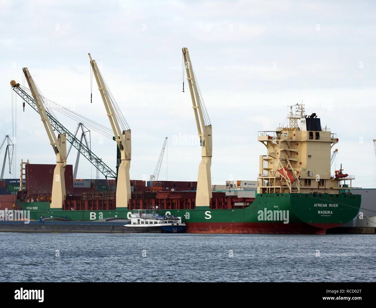 African River (ship, 2011) - IMO 9425174, Port of Antwerp Stock Photo ...