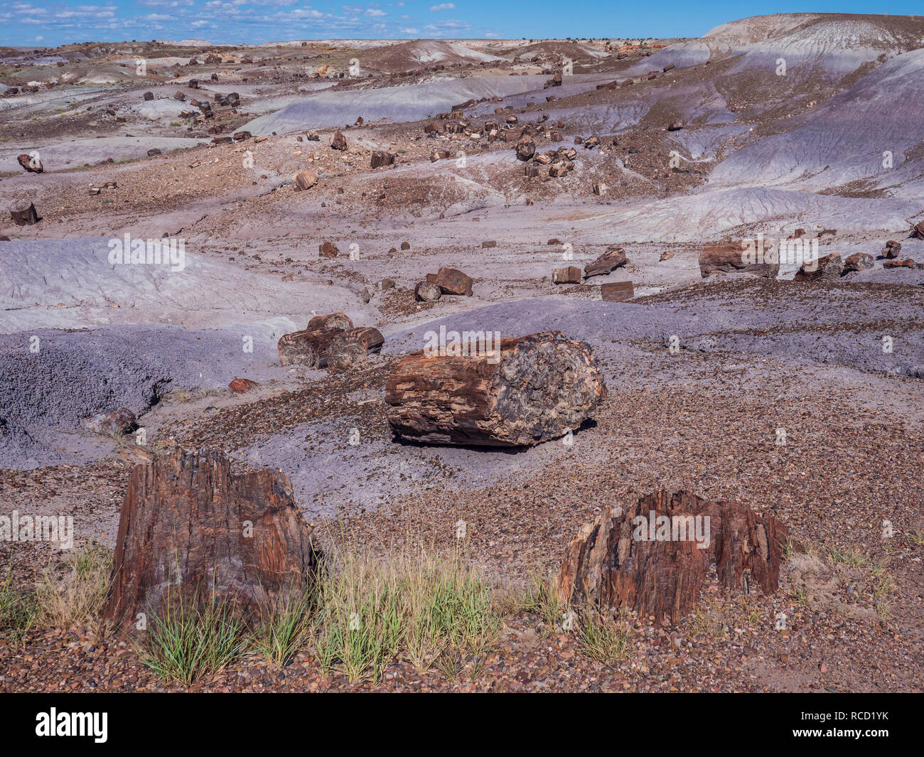 Crystal forest hi-res stock photography and images - Alamy